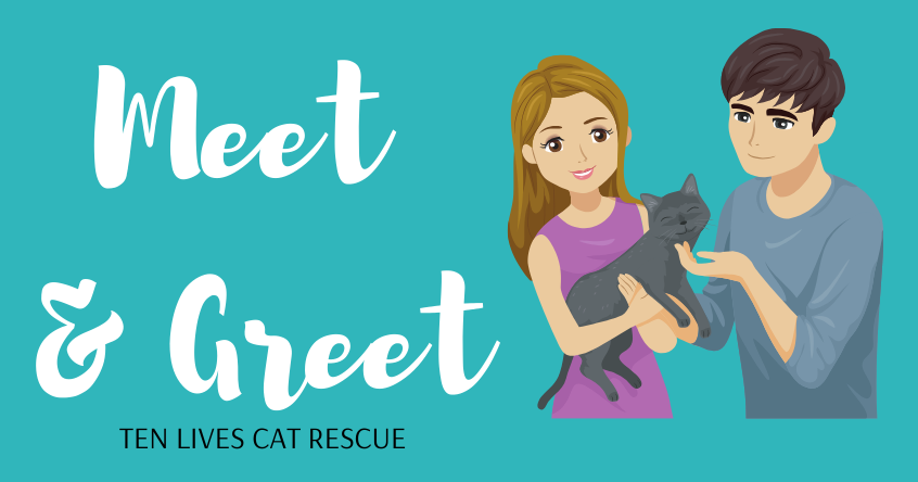 Meet & Greet-edit – Ten Lives Cat Rescue