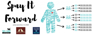 Spay it Forward – Ten Lives Cat Rescue