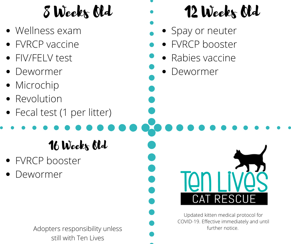 kittenvacs-covid19 – Ten Lives Cat Rescue