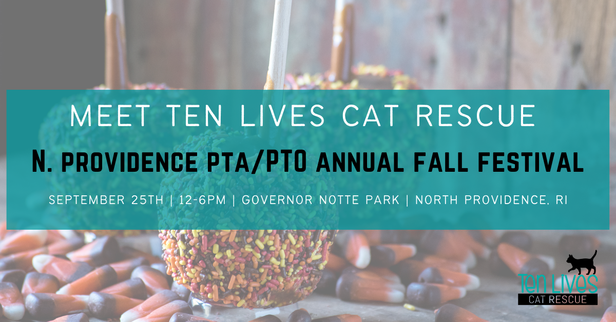 Fall Festival banner – Ten Lives Cat Rescue
