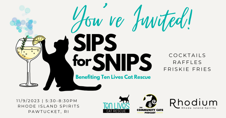Ten Lives Cat Rescue - Action Saves Lives